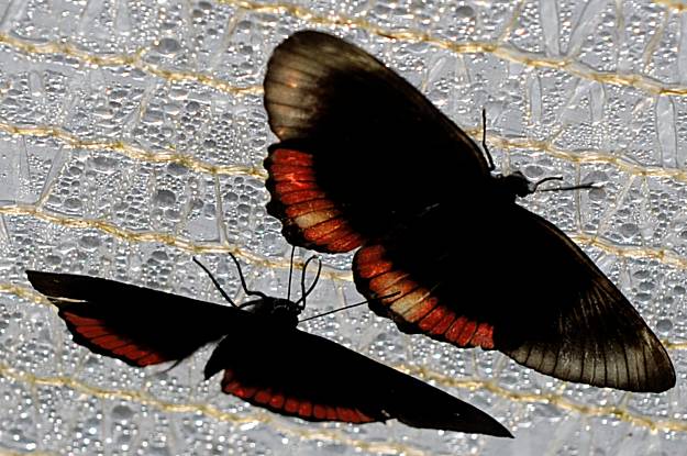 SFGate: Day in Pictures