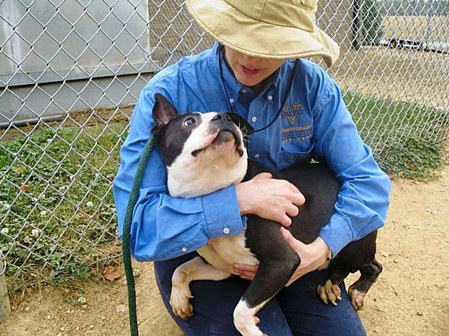 Michael Vick's unpaid dues: Why dog advocates aren't moving on