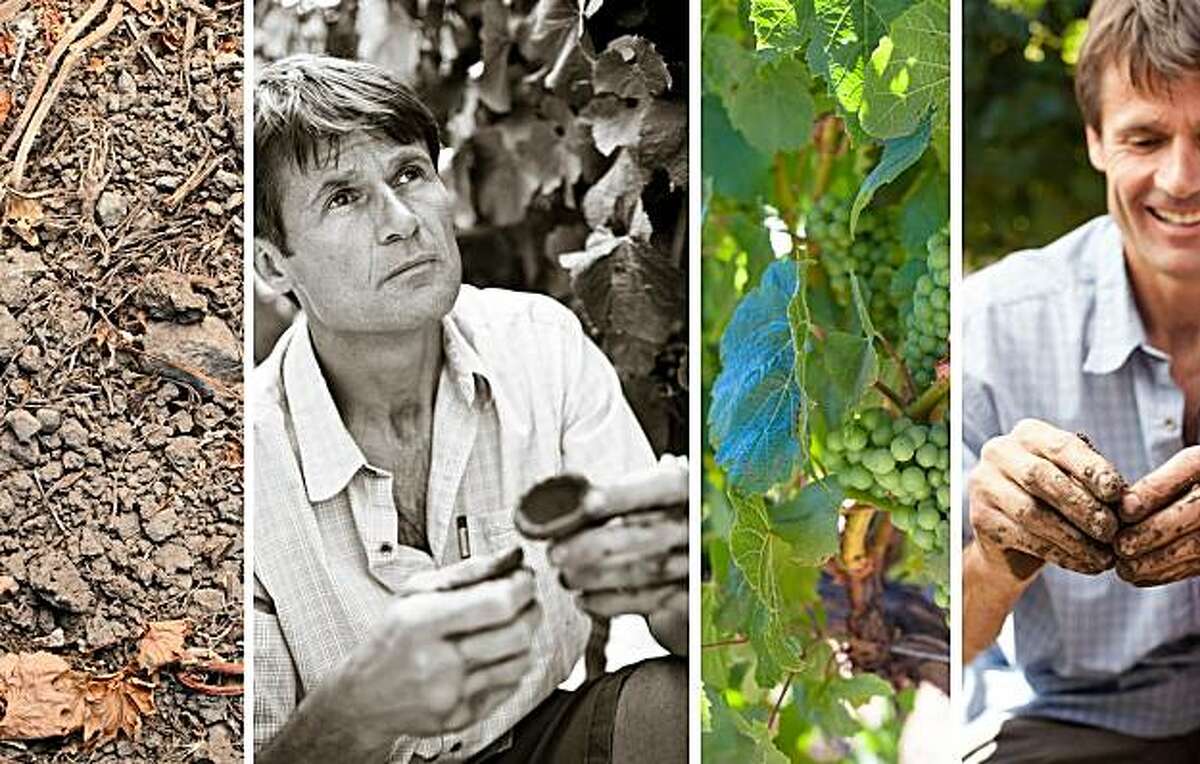 Michael Wisner wine accessory for Newton Vineyard