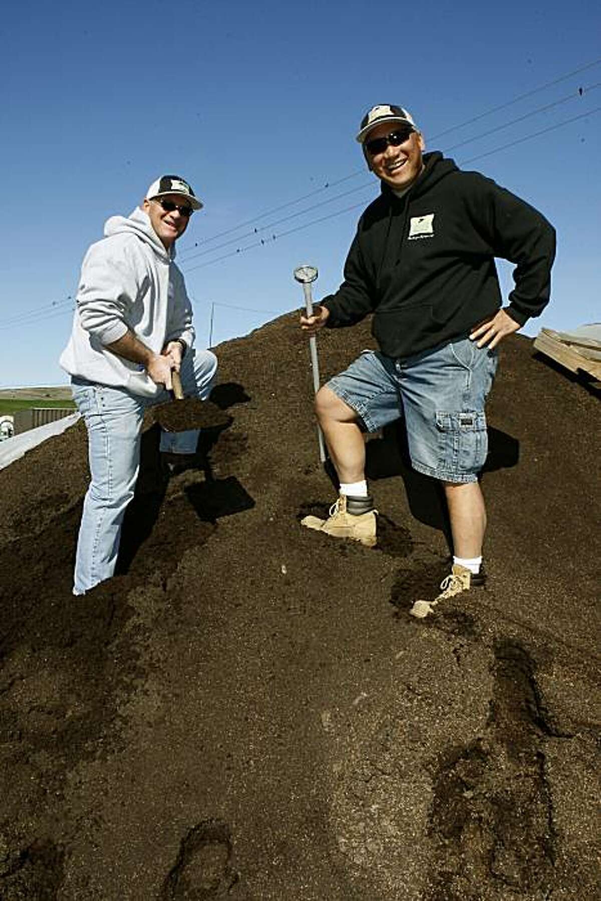 Composted manure is the gardener's best friend