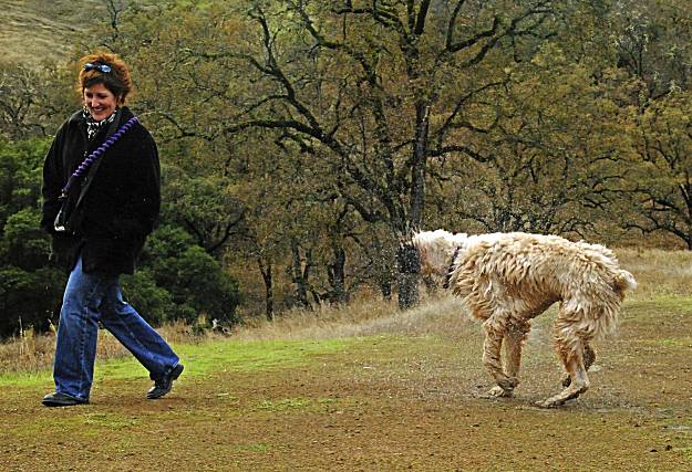 Long Valley Ranch gets along with little doggies