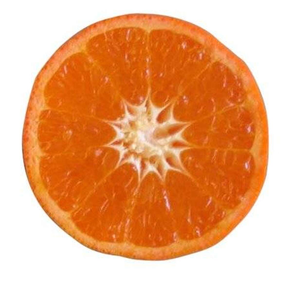 Citrus plants to grow in the Bay Area