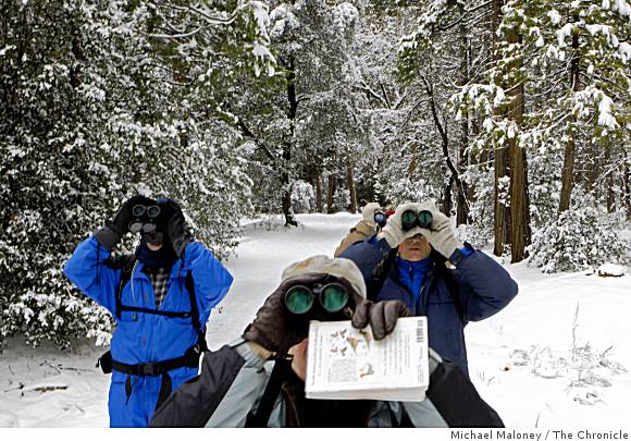 Audubon's Christmas Bird Count No. 109 begins