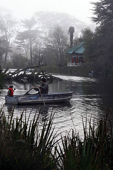 Golden Gate Park up for landmark status