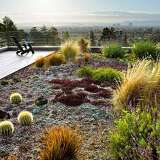 Small spaces: 20 ways to garden anywhere