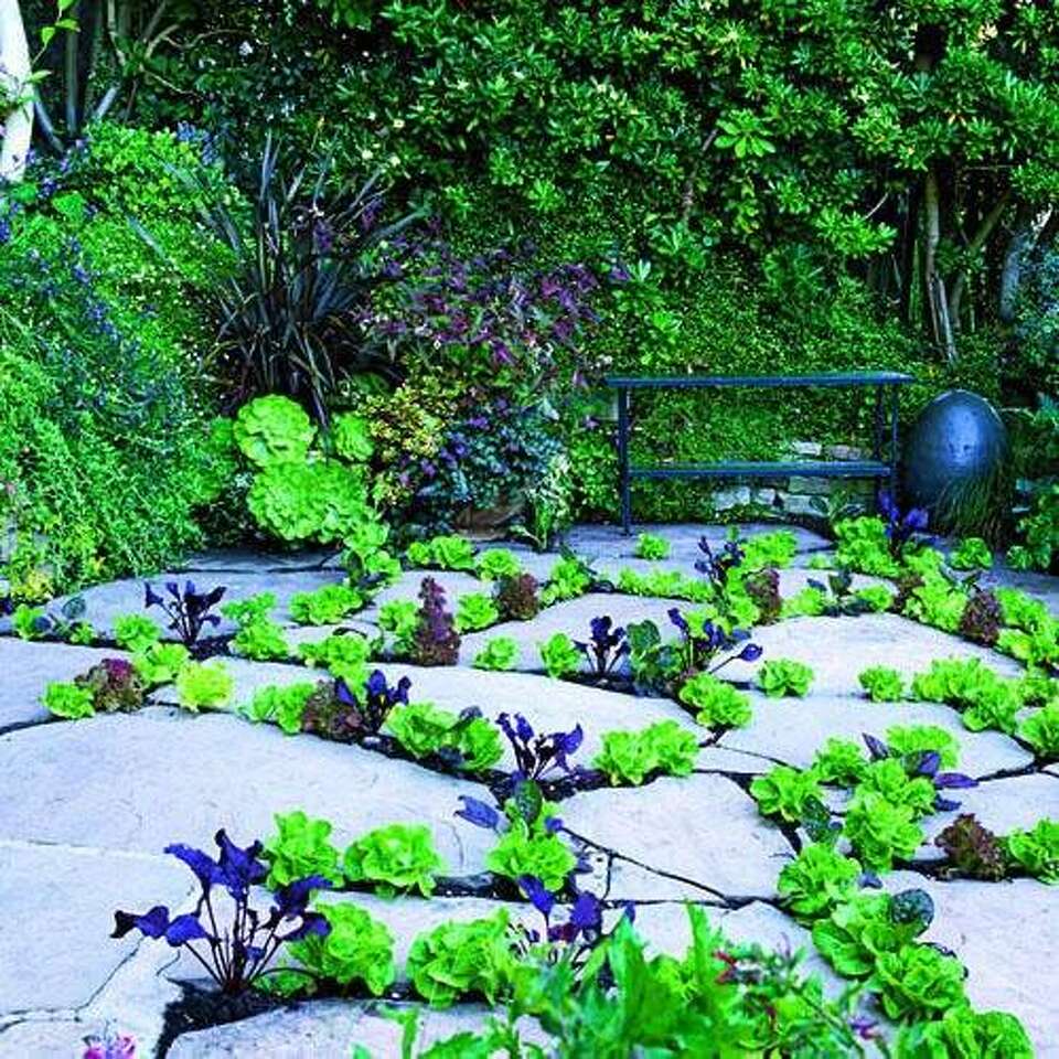 Small spaces: 20 ways to garden anywhere