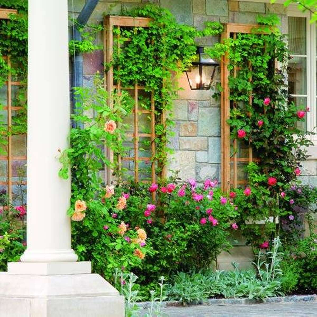 Small spaces: 20 ways to garden anywhere