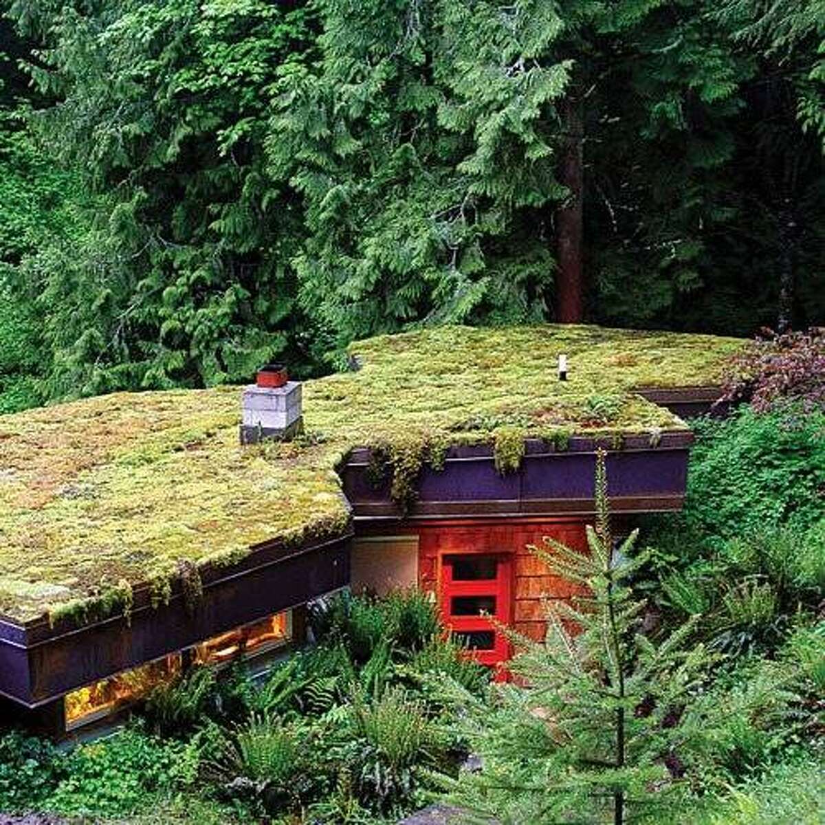 Small spaces: 20 ways to garden anywhere