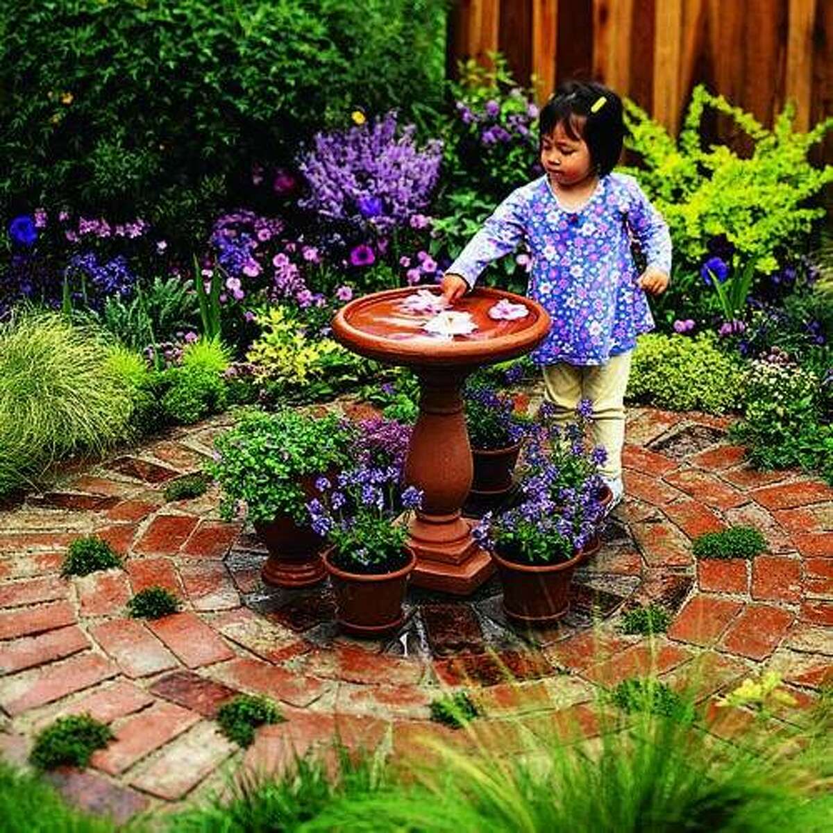 20 best backyard projects