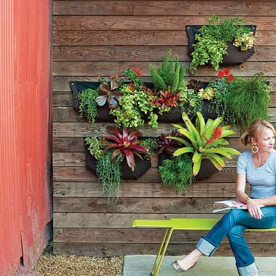 20 best backyard projects - SFGATE