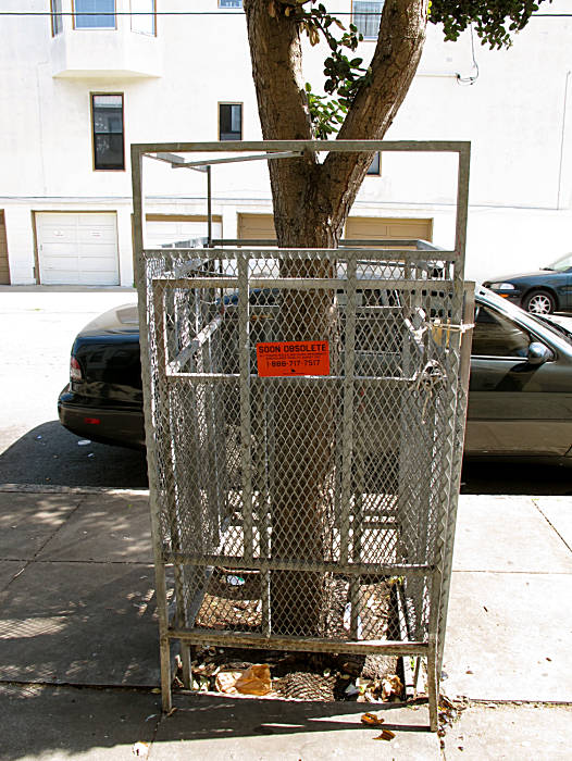 For whom does the caged tree sing?