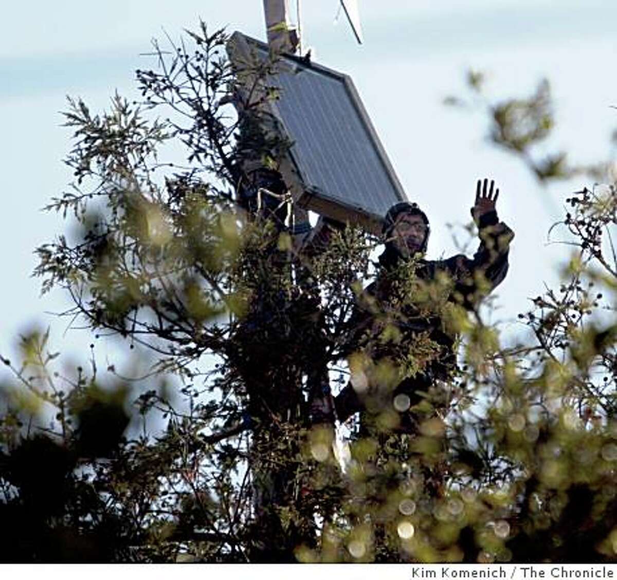 Berkeley tree-sitters still refuse to leave