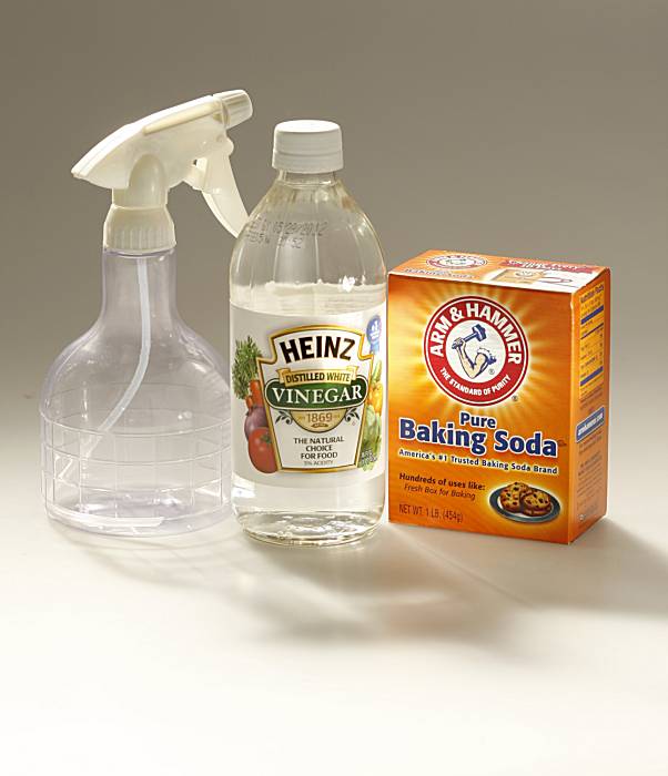 5 tips for a green and clean kitchen