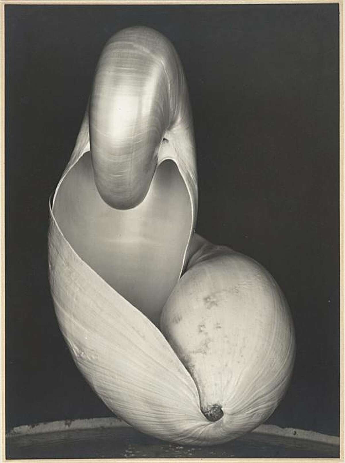 S.F. Museum of Modern Art celebrates 75 years