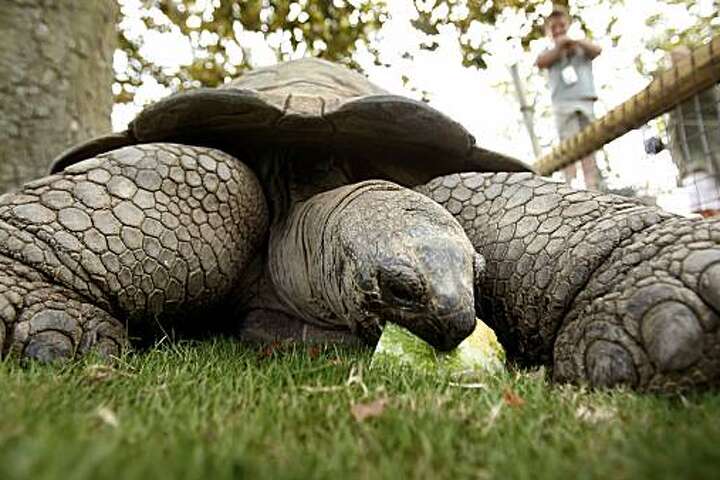 SFGate: Day in Pictures