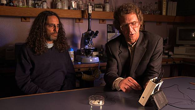 'I Am' review: Tom Shadyac examines life