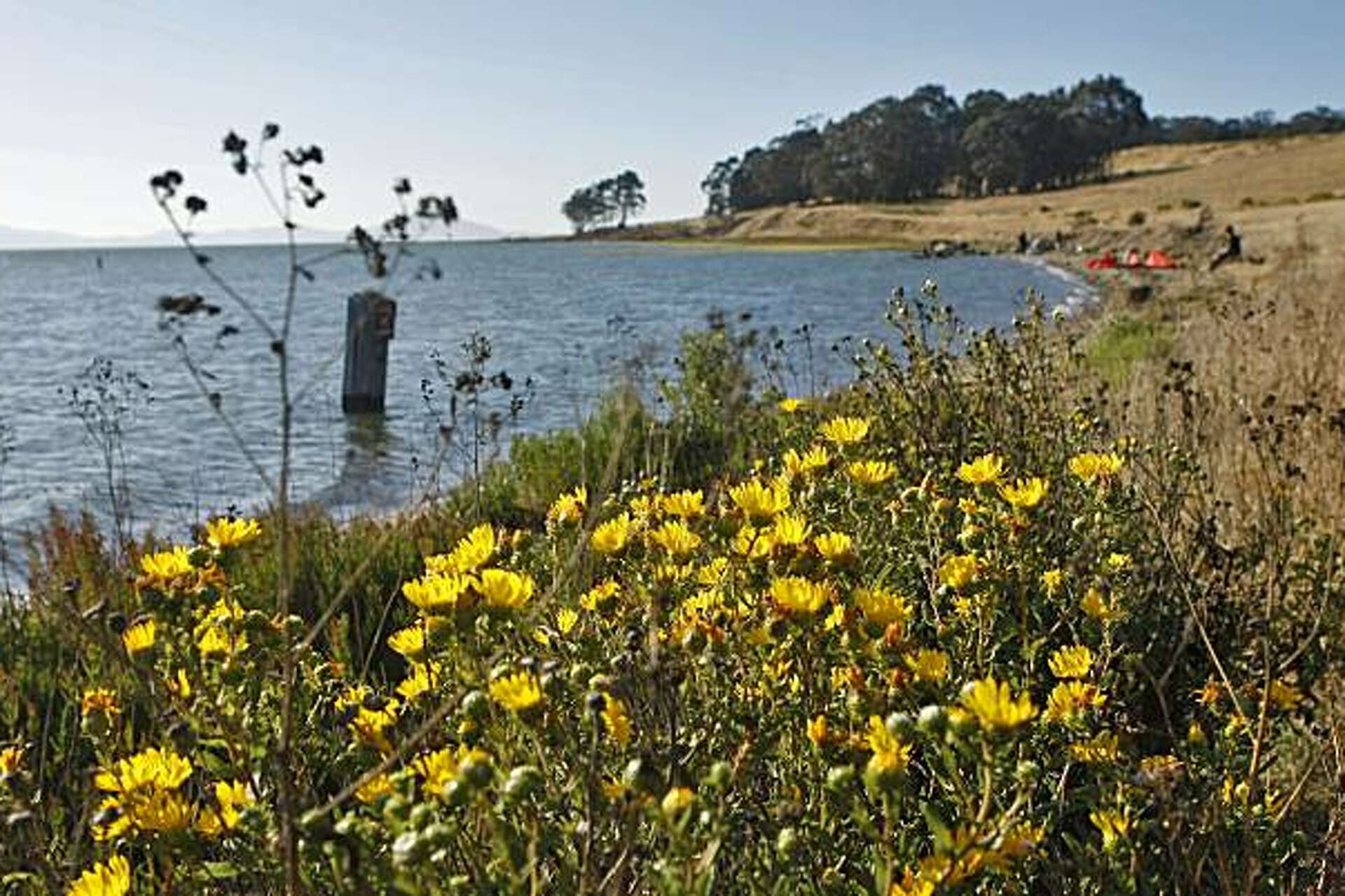 Point Pinole: A dynamite place to hike, play