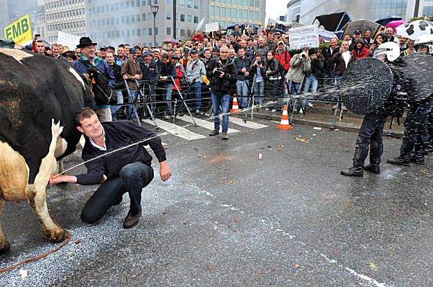 Farm protests in Brussels