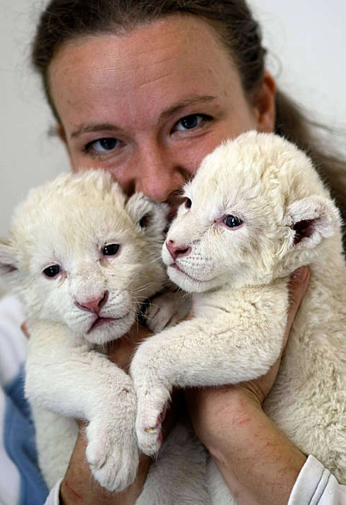 SFGate: Day in Pictures