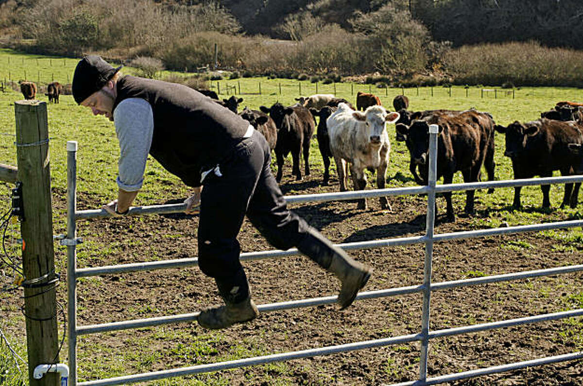 California cattle ranchers fight to survive