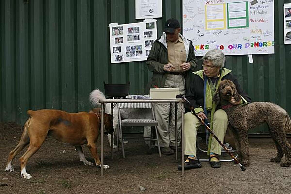 Dogtoberfest in Noe Valley