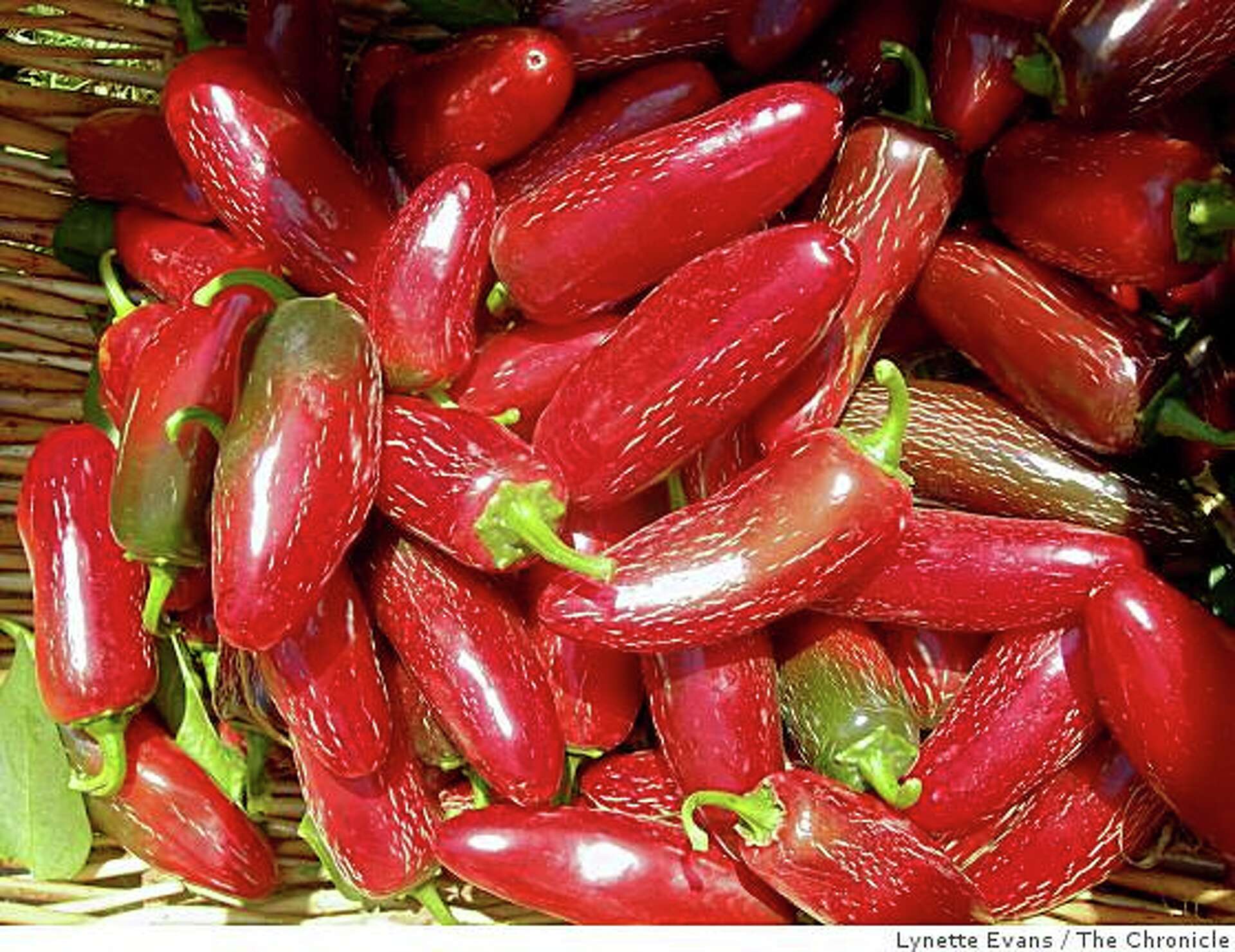 The Mayan Food