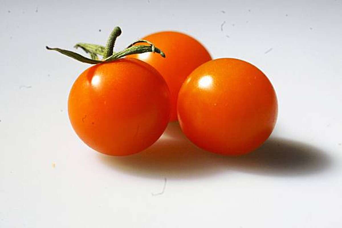 10 Maya foods that changed the world's eating habits