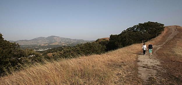 Urban Outings: Acalanes Ridge