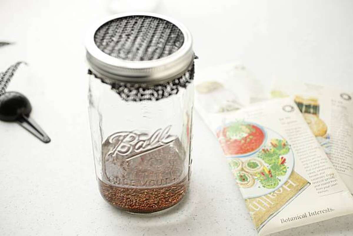 Landless gardeners can grow spouts in water