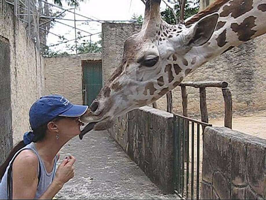 Relaxation and baby tigers in Puerto Vallarta - SFGate
