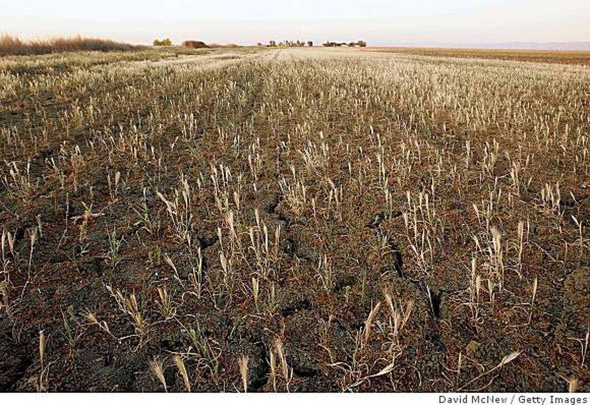 Central Valley Water