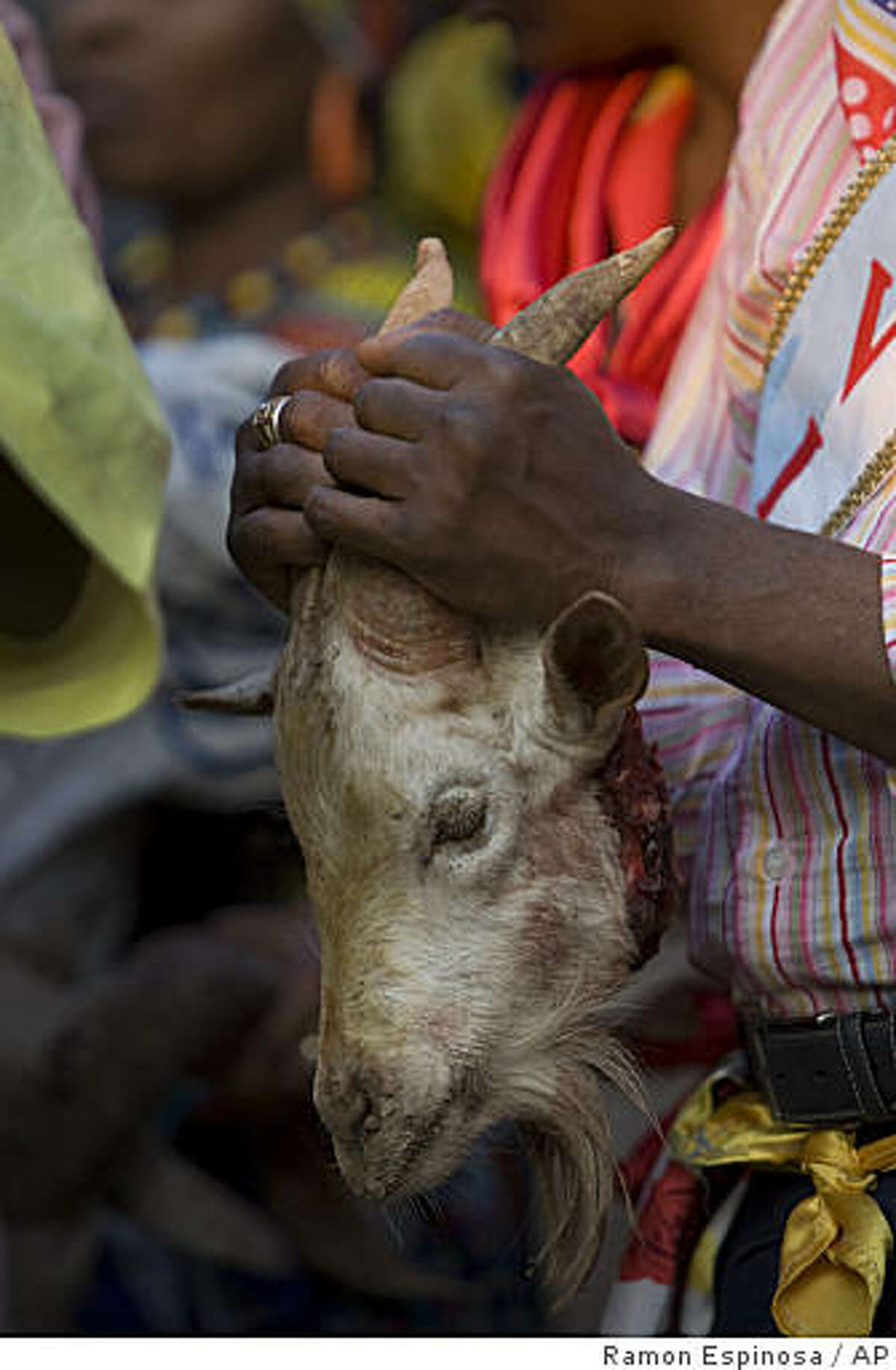 Voodoo Ceremony