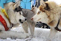 SFGate: Day in Pictures