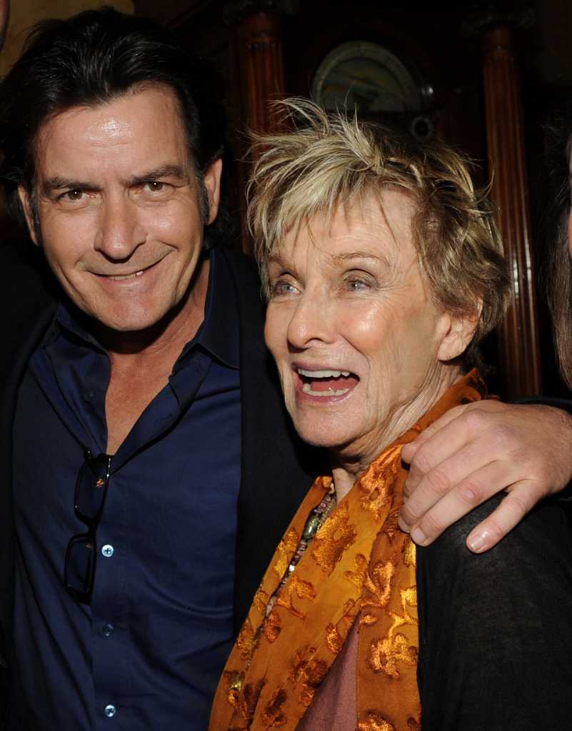 Sheen on 'hanging out' in S.A., new FX series