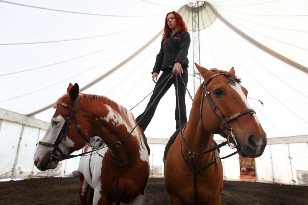 Cavalia horses arrive in Redmond