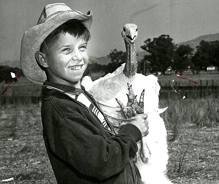 Stanton Delaplane's Thanksgiving Postcard