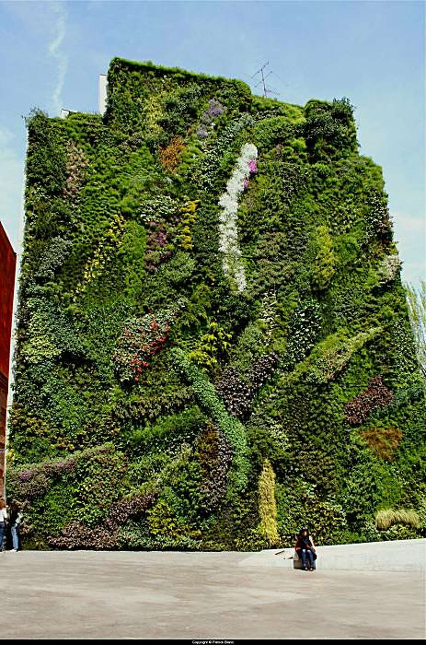 Patrick Blanc green garden comes to Drew School