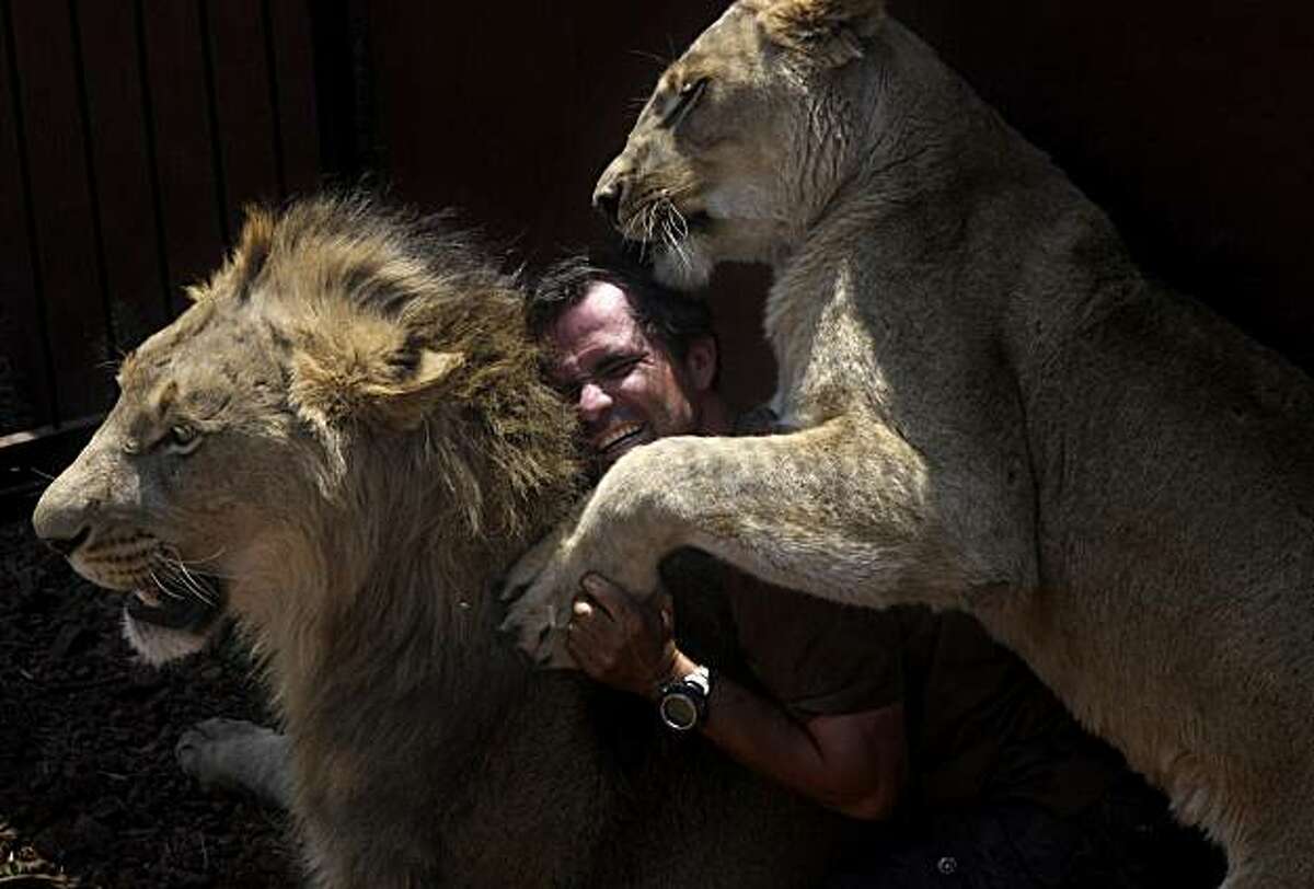 The Lion Whisperer