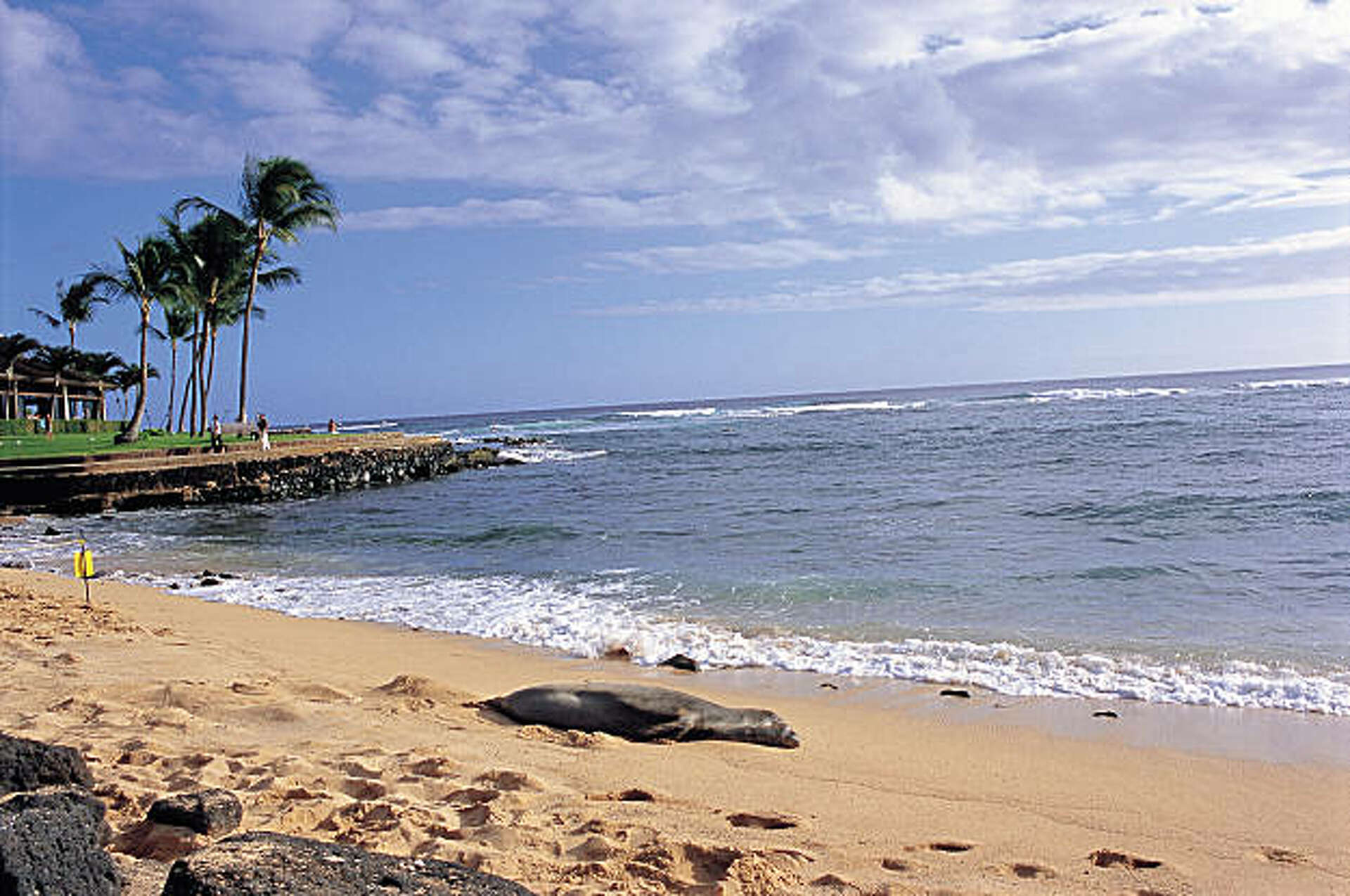 Emblems of Hawaii a surprise to many Americans