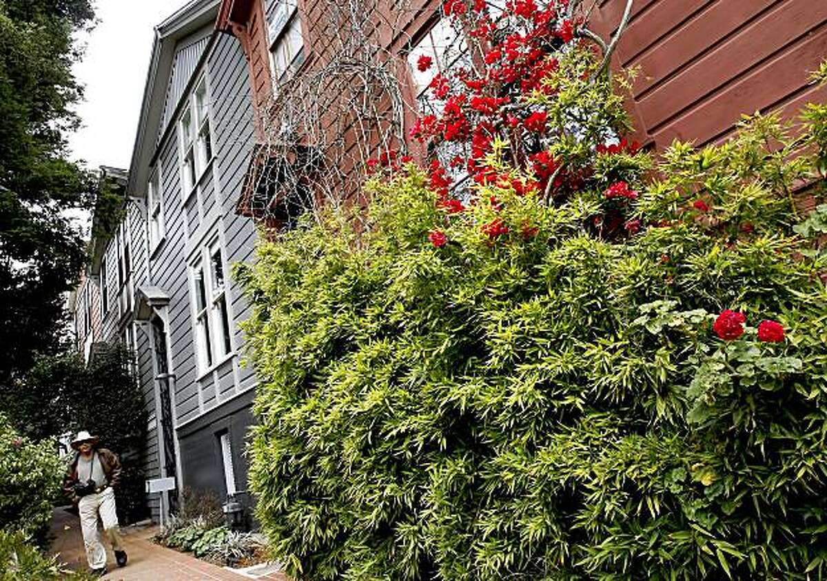 San Francisco's best nature walks and urban escapes