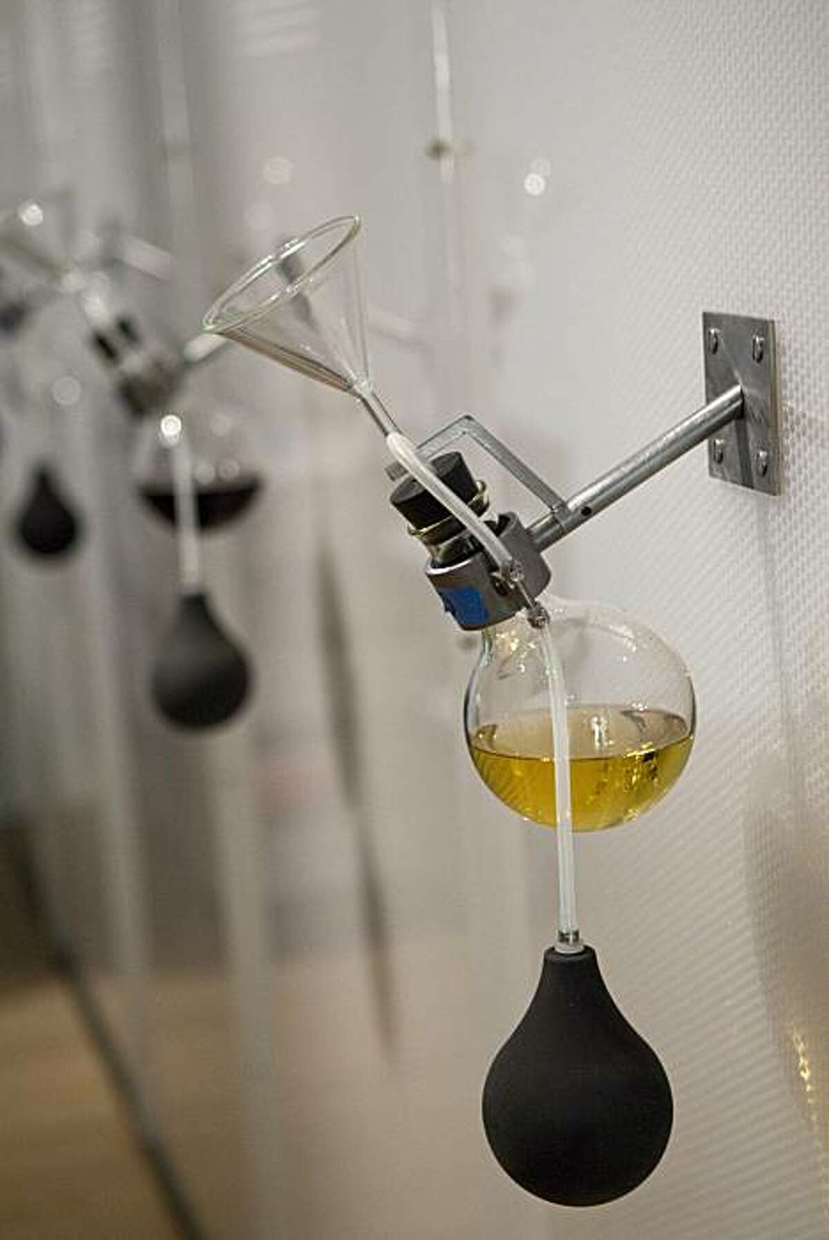 Maximilian Riedel tours SFMOMA exhibition on wine