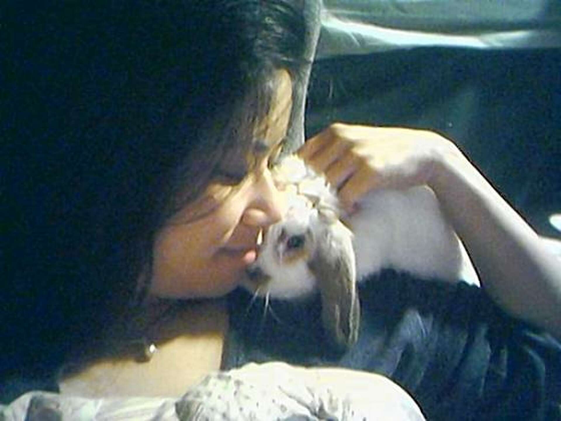 Call it bunny love / The inside story on a pet you didn't know you wanted
