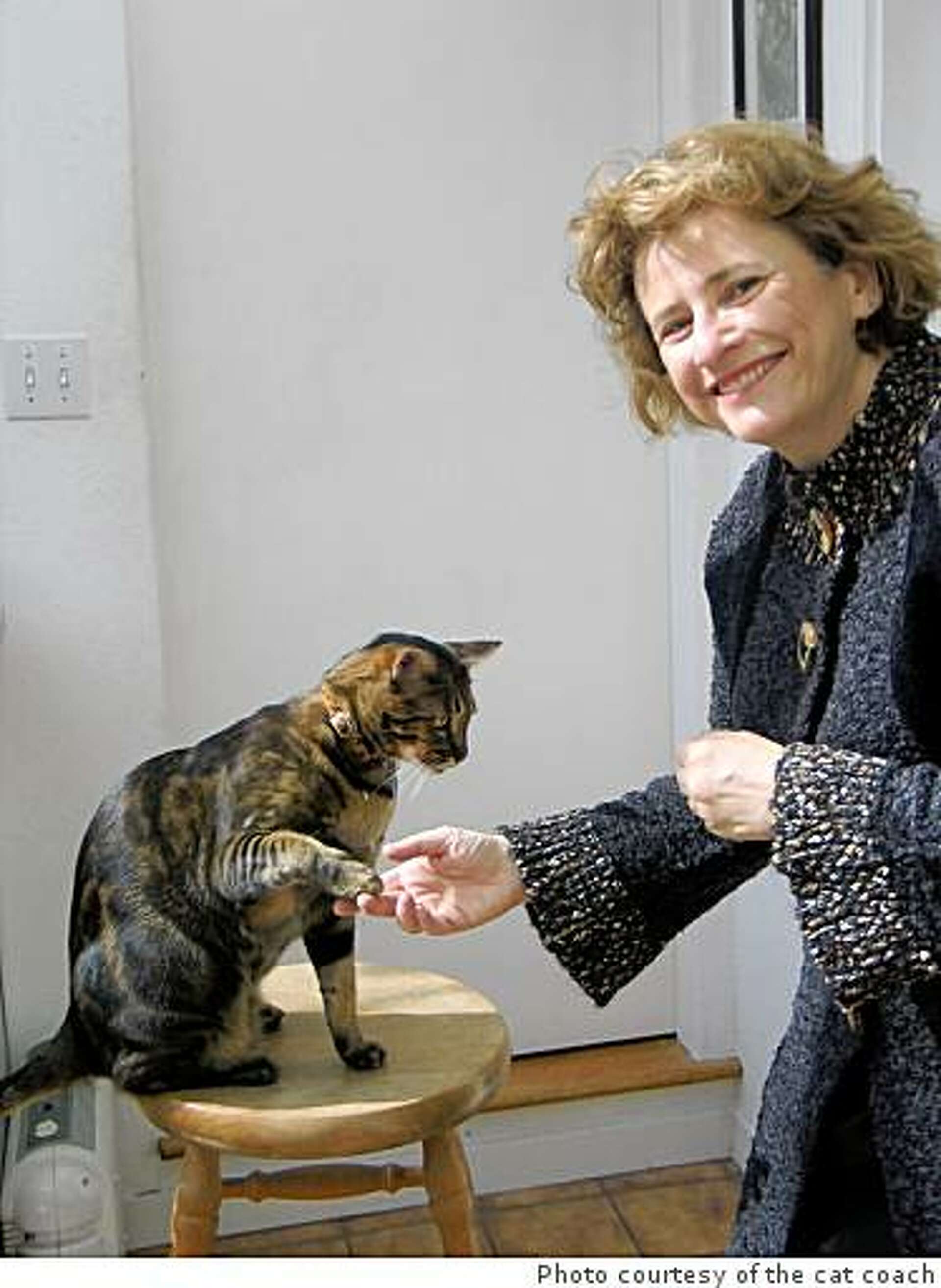 The cat training revolution