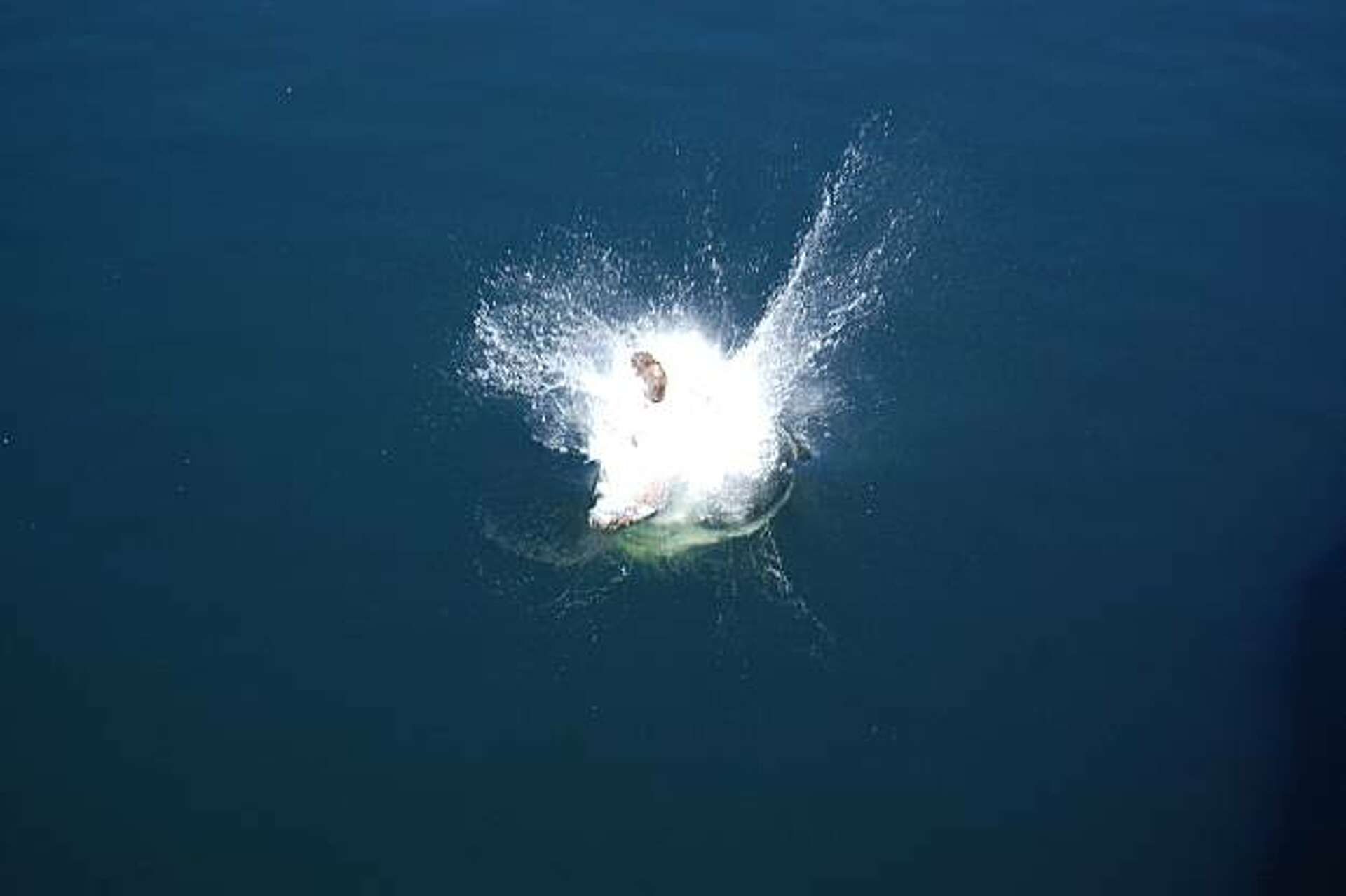 Geronimo! A great cliff-jumping spot in the Sierra