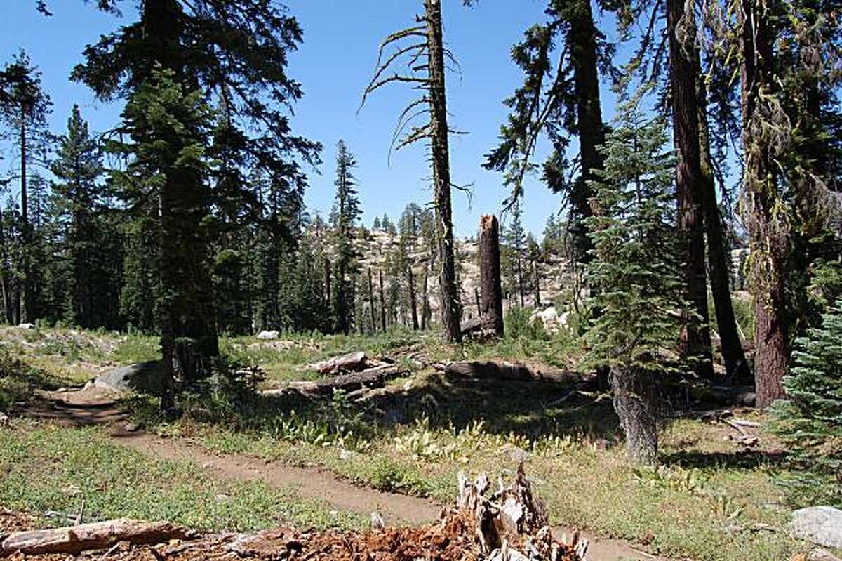 Geronimo! A great cliff-jumping spot in the Sierra