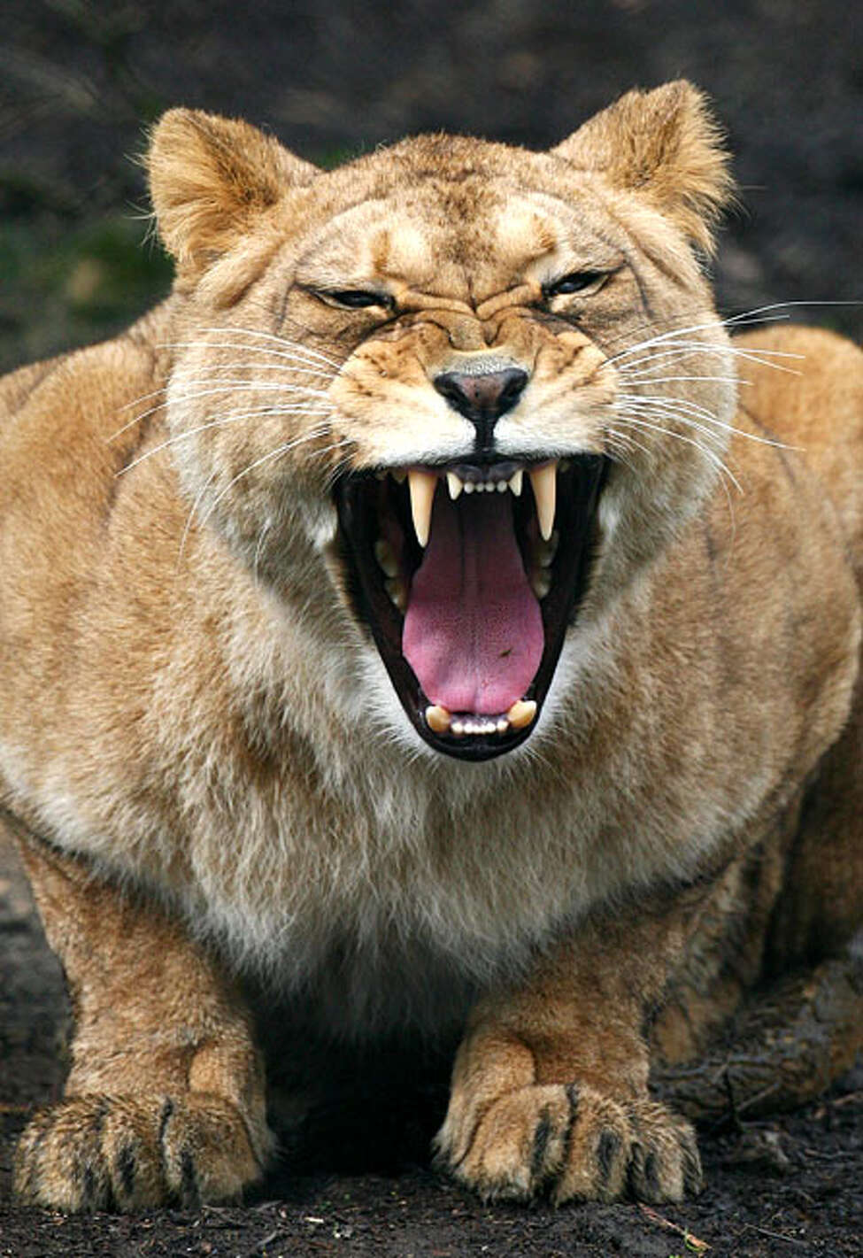 SFGate: Day in Pictures