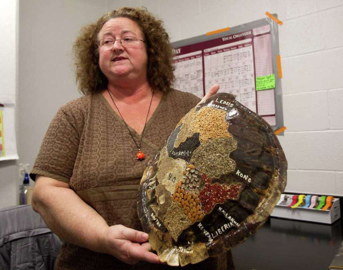 Battered turtle bounces back to good health