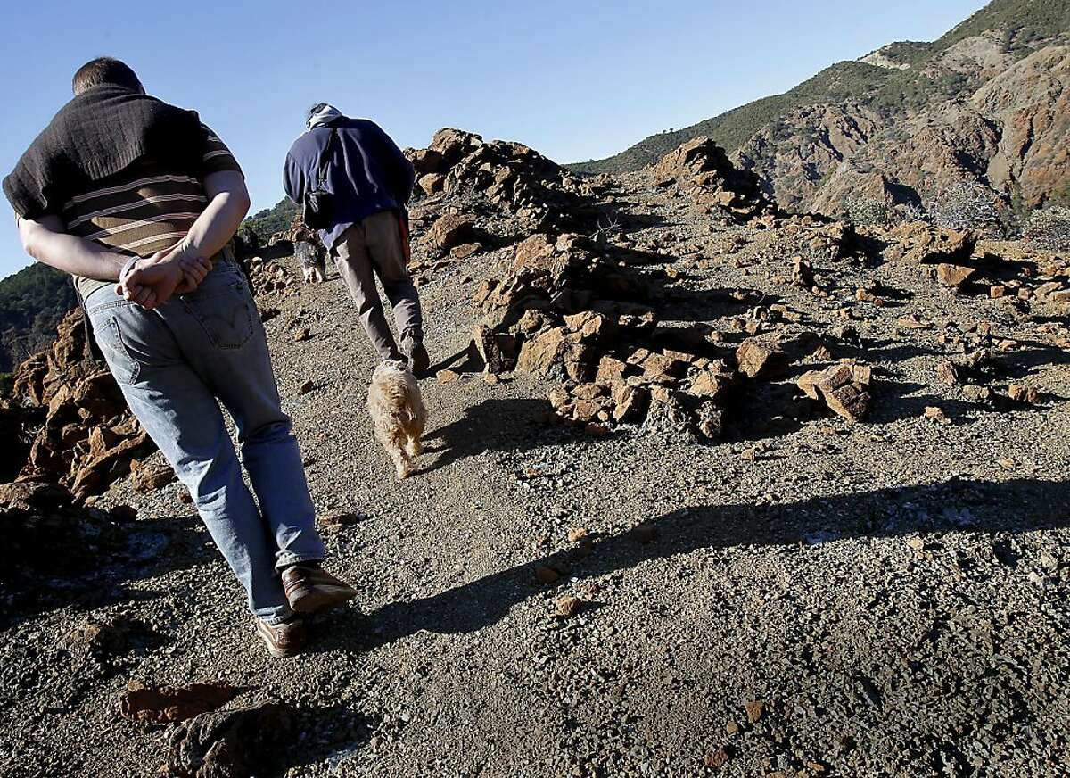 Sonoma County's Cedars a rare geologic wonder
