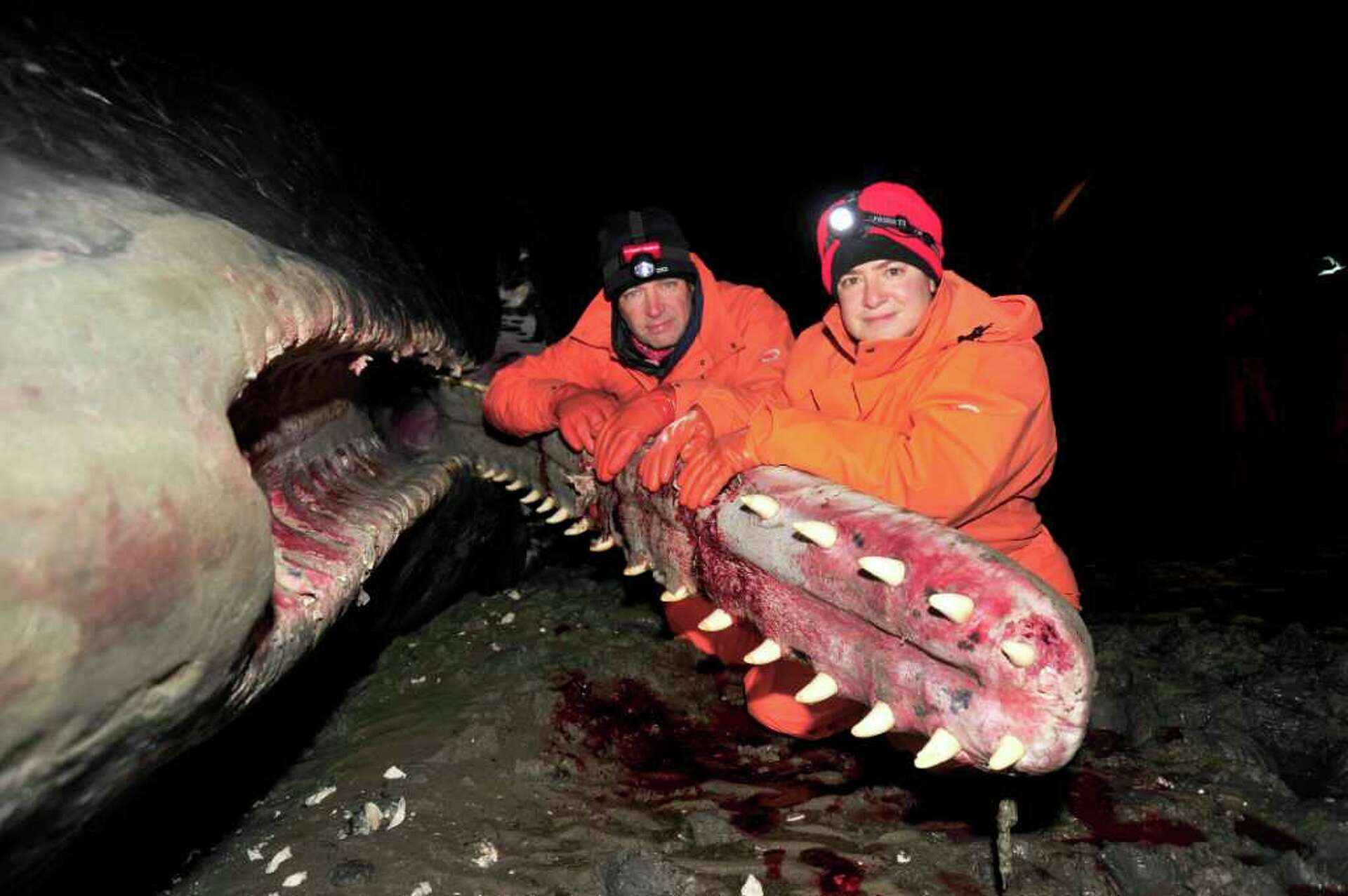 Local scientist stars in PBS science show