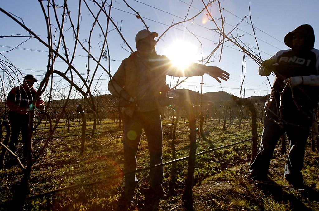 North Bay town hits 13 degrees; records fall